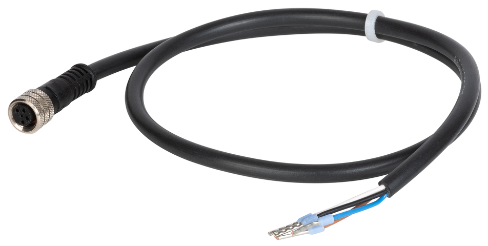 Euchner 120241E | C-M08F04-04X034PU50,0-ES-120241 : Connecting Cable